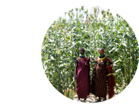 2022 pastoralist circle sorghum circle | ECHOcommunity.org